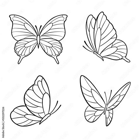 Butterfly Clip Art Black And White Outline