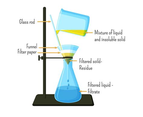 What Is Filtration Explain At Bessie Grossi Blog