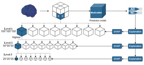 the flowchart of the fast recursive partition xai method download scientific diagram