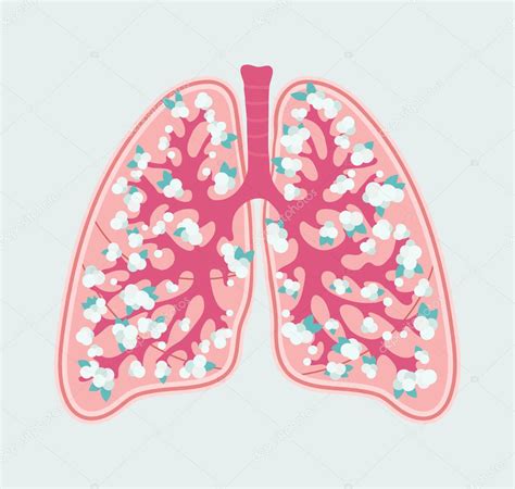 Esquema Floral Amigable Para El Paciente De Pulmones Humanos Sanos Y