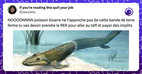Les 20 tweets les plus drôles de la semaine 84 Twog