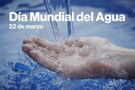 Manifiesto Con Motivo Del D A Mundial Del Agua De Marzo De