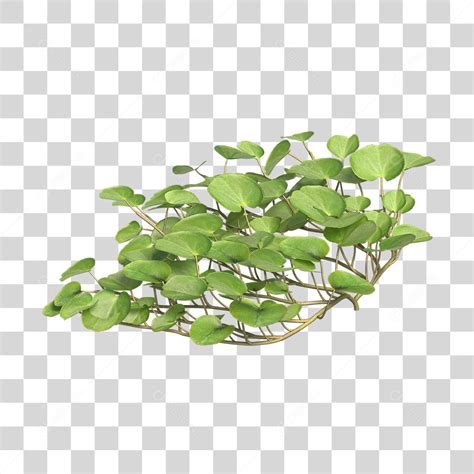 Árvore de folha verde Planta Cenário PNG Transparente download Designi