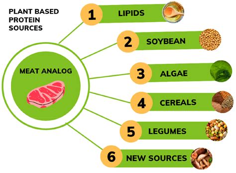 Comprehensive Review On The Role Of Plant Protein As A Possible Meat
