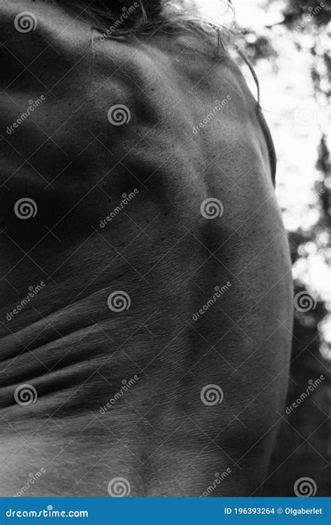 Close Up Graceful Pose Of Female Naked Back Beautiful Athletic Female