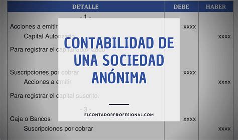 ᐈ Contabilidad de una Sociedad Anónima S A Contador Profesional