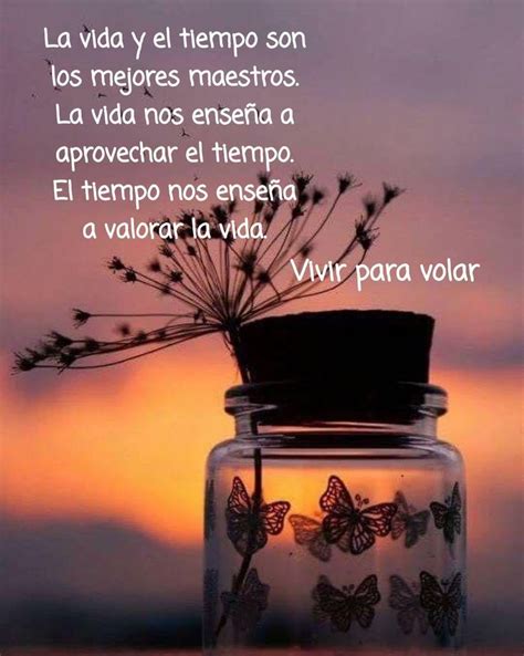 Vivir Para Volar Vivirparavolarcecyjim Posted On Instagram La Vida