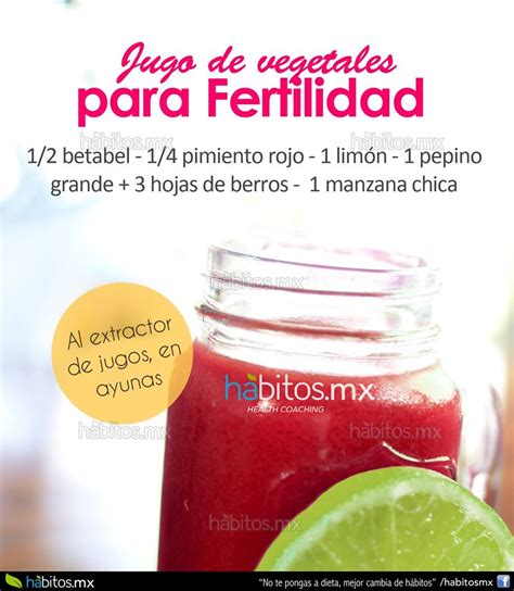Jugo de Vegetales AUMENTA TU FERTILIDAD Hábitos Health Coaching
