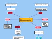 La Contaminaci N Mind Map