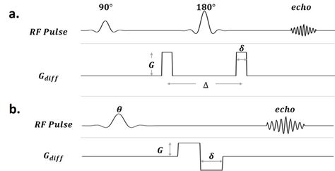 1 two designs of diffusion encoding gradient used in a se pulse download scientific diagram