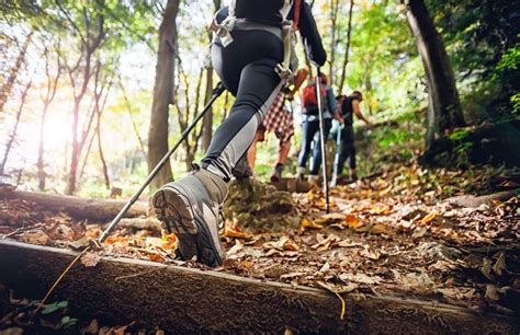 Calzado de trekking qué es y cómo elegir el adecuado Deportista top