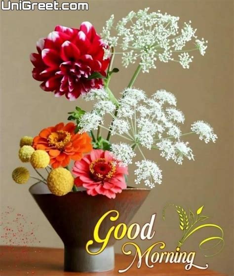 Top 999 New Beautiful Good Morning Images Amazing Collection New