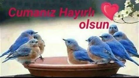 Cuma İlahileri 2023Cuma Videoları Hayırlı Cumalar YeniGül Kokulu