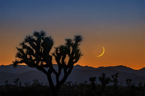 Joshua Tree Natl Park Moonset At Night Fine Art Photo Print Photos By
