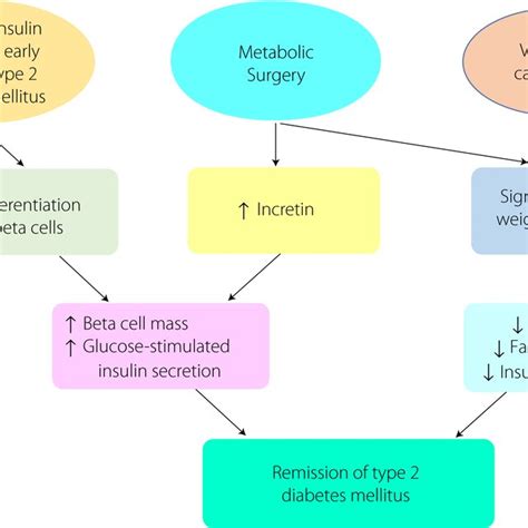 The Strategies And Mechanisms Of Type Diabetes Mellitus Remission