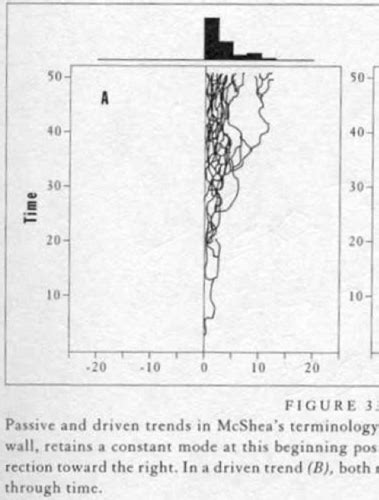 Patterns And Trends In The Fossil Record Flashcards Quizlet