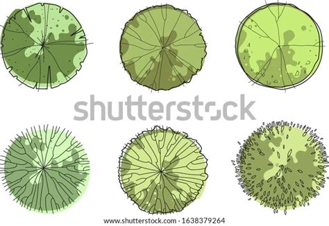 Architecture Sketch Green Trees Top View Stock Vector Royalty Free