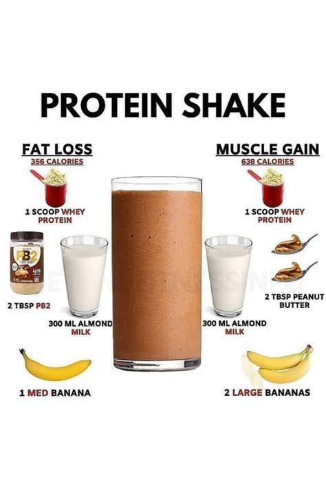 The Best Protein Powders For Women According To Nutritionists Artofit