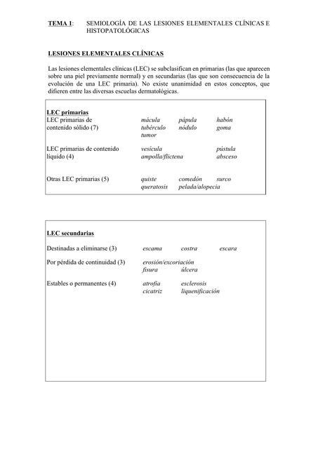 Semiolog A De Las Lesiones Elementales Cl Nicas E Histopatol Gicas