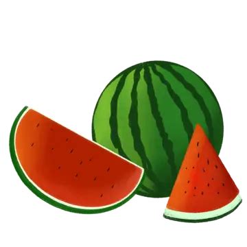 Fruit Illustration Watermelon Watermelon Fruit Illustration