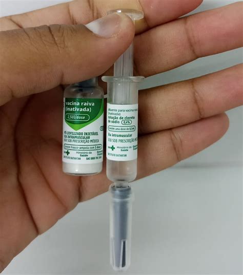 Ipojuca retoma serviço de vacinação antirrábica humana Prefeitura do