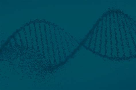 Continuing The Conversation From Global Genes 2023 Rare Advocacy Summit