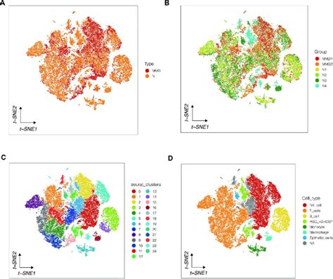 Single Cell Sequencing Data Analysis A Cells Obtained From Moyamoya