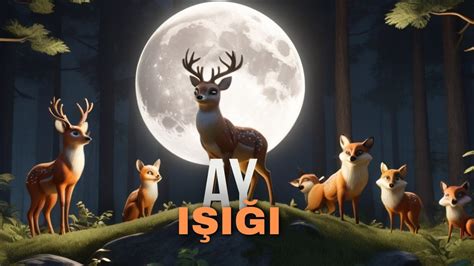 Ay Işığı Uyku Masalı Masal Dinle Masallar Hikaye Dinle