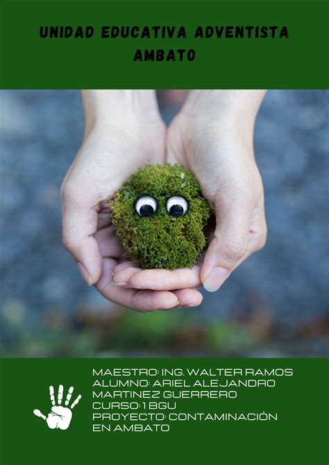 Contaminacion Ambiental Proyecto Ariel By Flipsnack