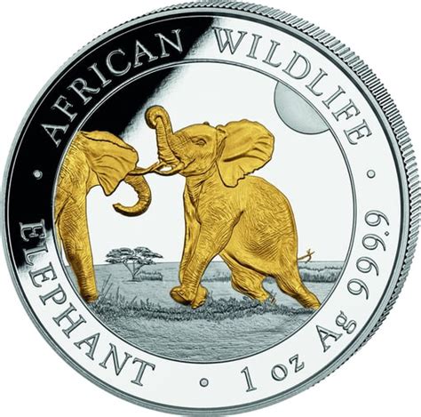1 Unze Silber Somalia Elefant 2024 Auflage 3 000 Teilvergoldet