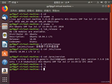 ubuntu系统怎么查看版本 ubuntu查看系统版本 csdn博客