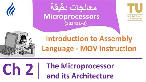 microprocessors 6 introduction to assembly language mov instruction youtube