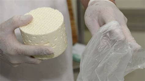 Pesquisadora Da Epamig Ensina Como Fazer Queijo Minas Frescal Em Casa