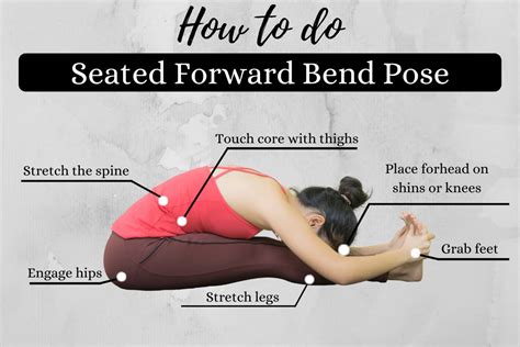Seated Forward Bend Pose Paschimottanasana How To Do Benefits