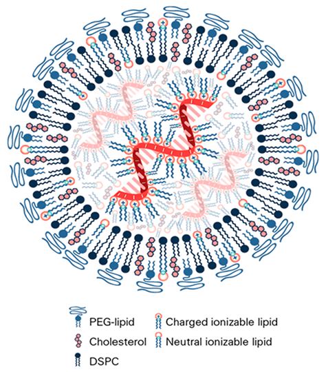 Lipid Nanoparticles LNPs ABP Biosciences