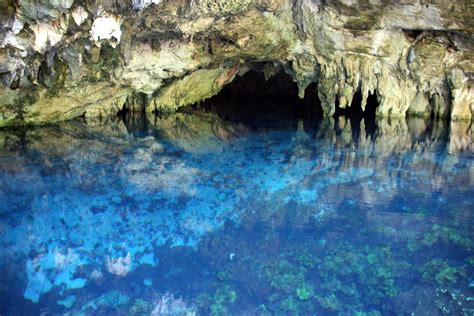 Complete Guide To Exploring The Sac Actun Cenote And Cave System In