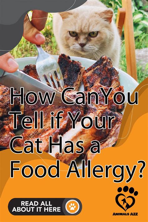 Allergy Free Cat Food
