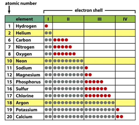 Cell Bio Exam Flashcards Quizlet
