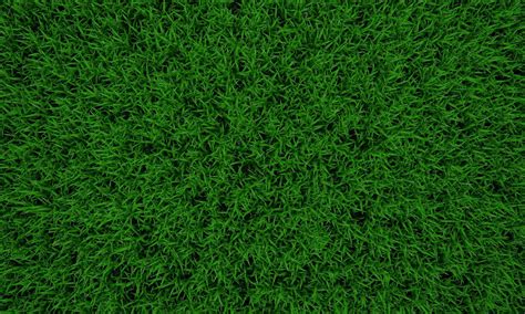 fondo de textura de hierba verde césped verde patio trasero para el