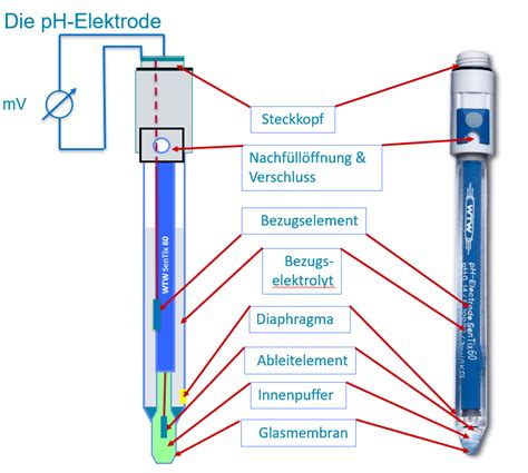 Was Ist Der PH Wert