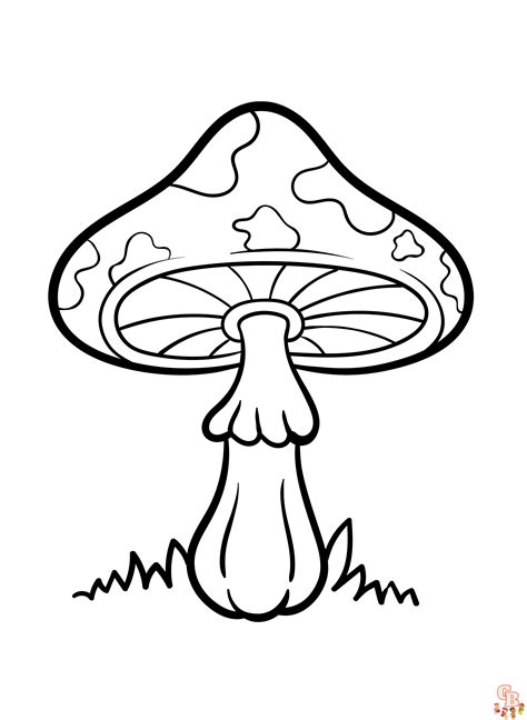 Pilze Ausmalbilder Zum Ausdrucken Kostenlos
