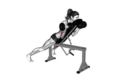 Dumbbell Prone Incline Curl Video Guide Tips For Women