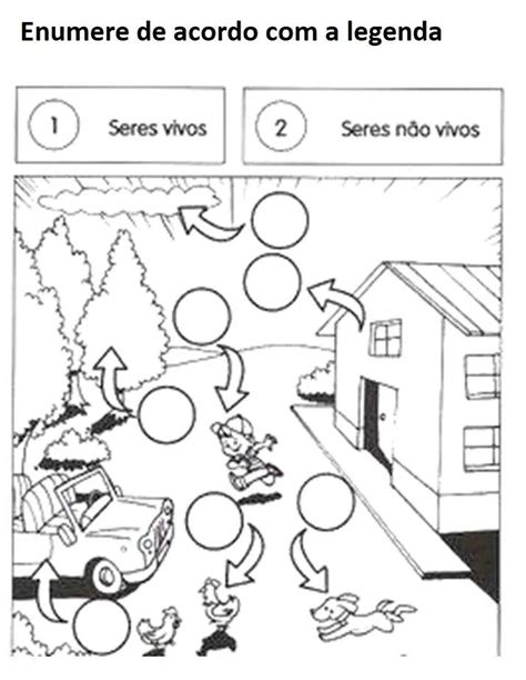 Atividades Sobre Seres Vivos E Não Vivos 2 Ano Sobre Isso