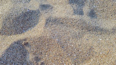 Plage naturiste à Lannion météo de la Plage de Mez an Aod Bretagne
