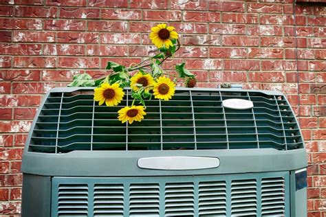 3 Reasons Why Regular AC Maintenance Is Important The Coffee Mom