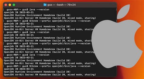 How To Install Java On A Mac Pi My Life Up