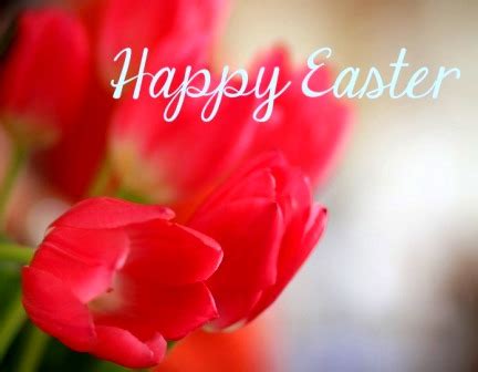Happy Easter Safecare Medical Center