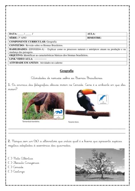 3º ANO ATIVIDADES DE REVISÃO GEOGRAFIA Cuca Super legal