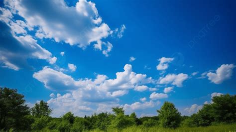 รปพนหลงฉากทสวยงามดวยตนไมและเมฆทมทองฟาสคราม พนหลง