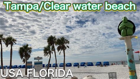 America Florida Tampa Clear Water Beach